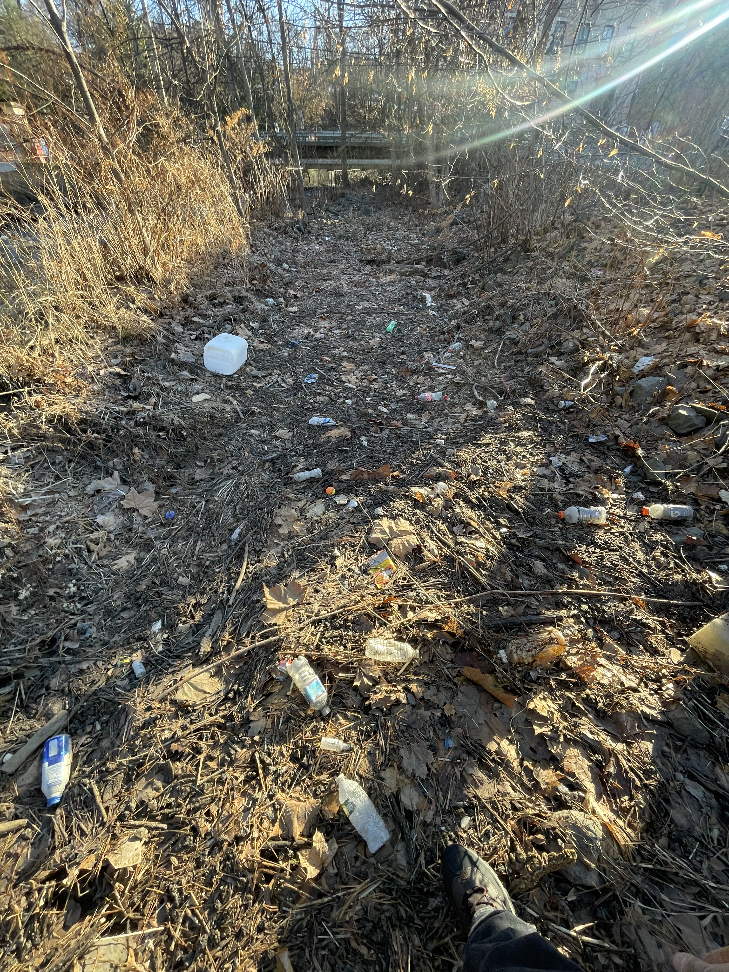 Weekly Updates – Poughkeepsie Clean Project